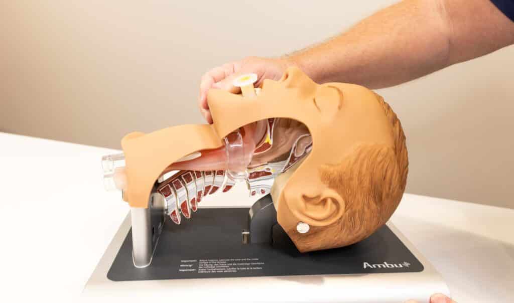 Ambu Airway Management Trainer|Tammed
