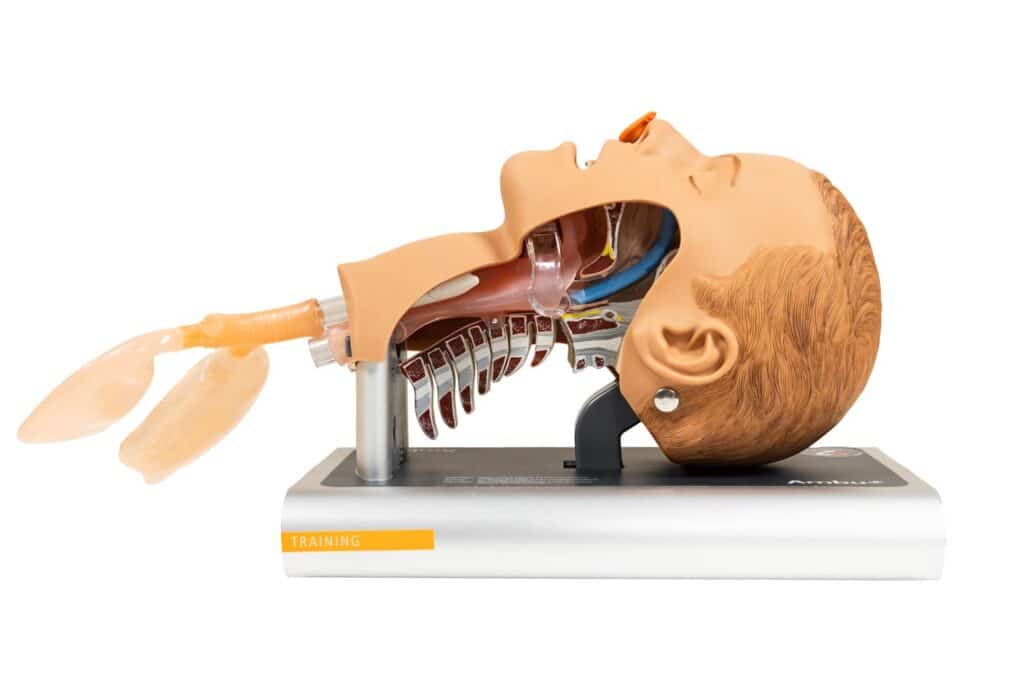 Ambu Airway Management Trainer|Tammed